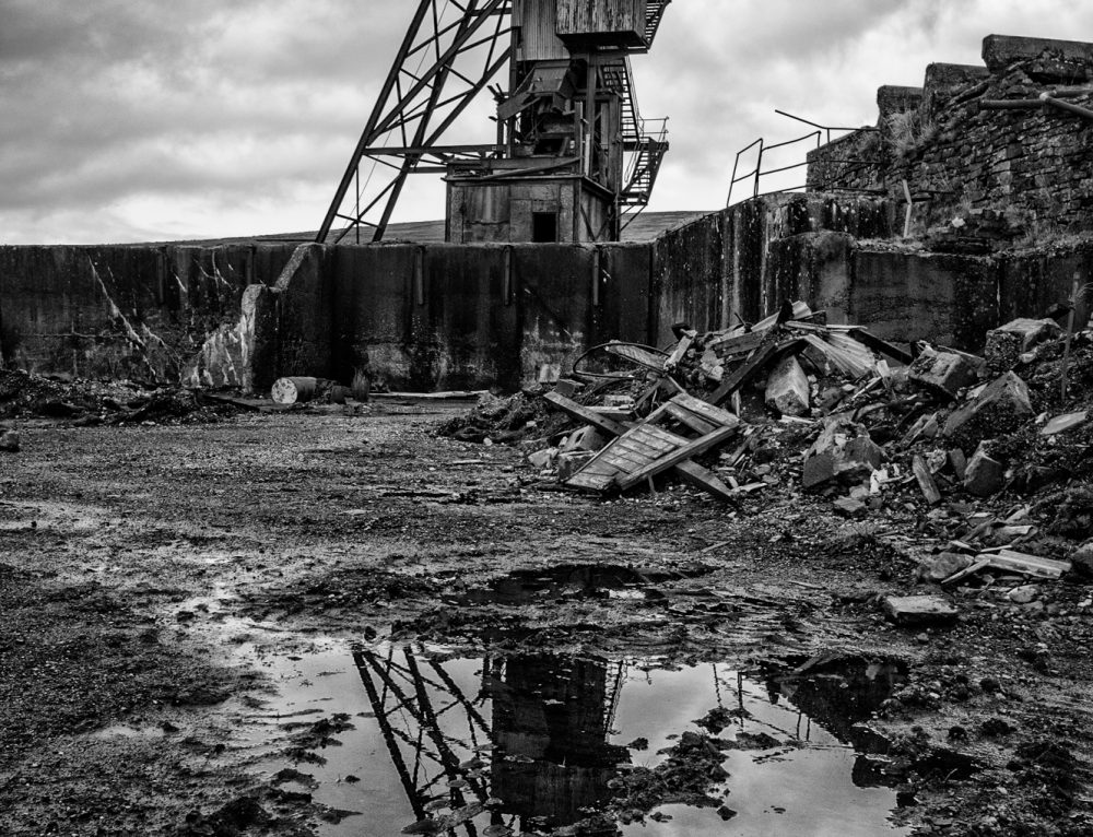 Creative Flower Photography – Cherry Larcombe – Leighton Buzzard ...