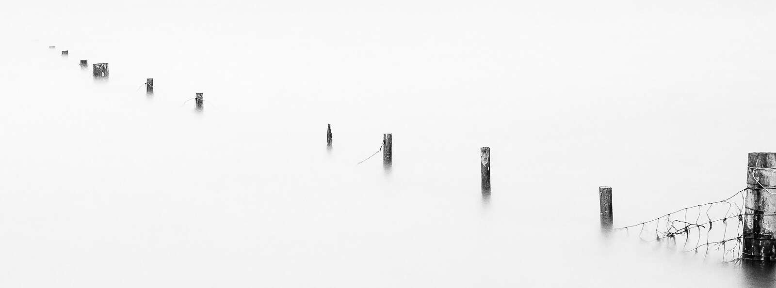 09 FENCELINE by John Curd – Leighton Buzzard Photographic Club