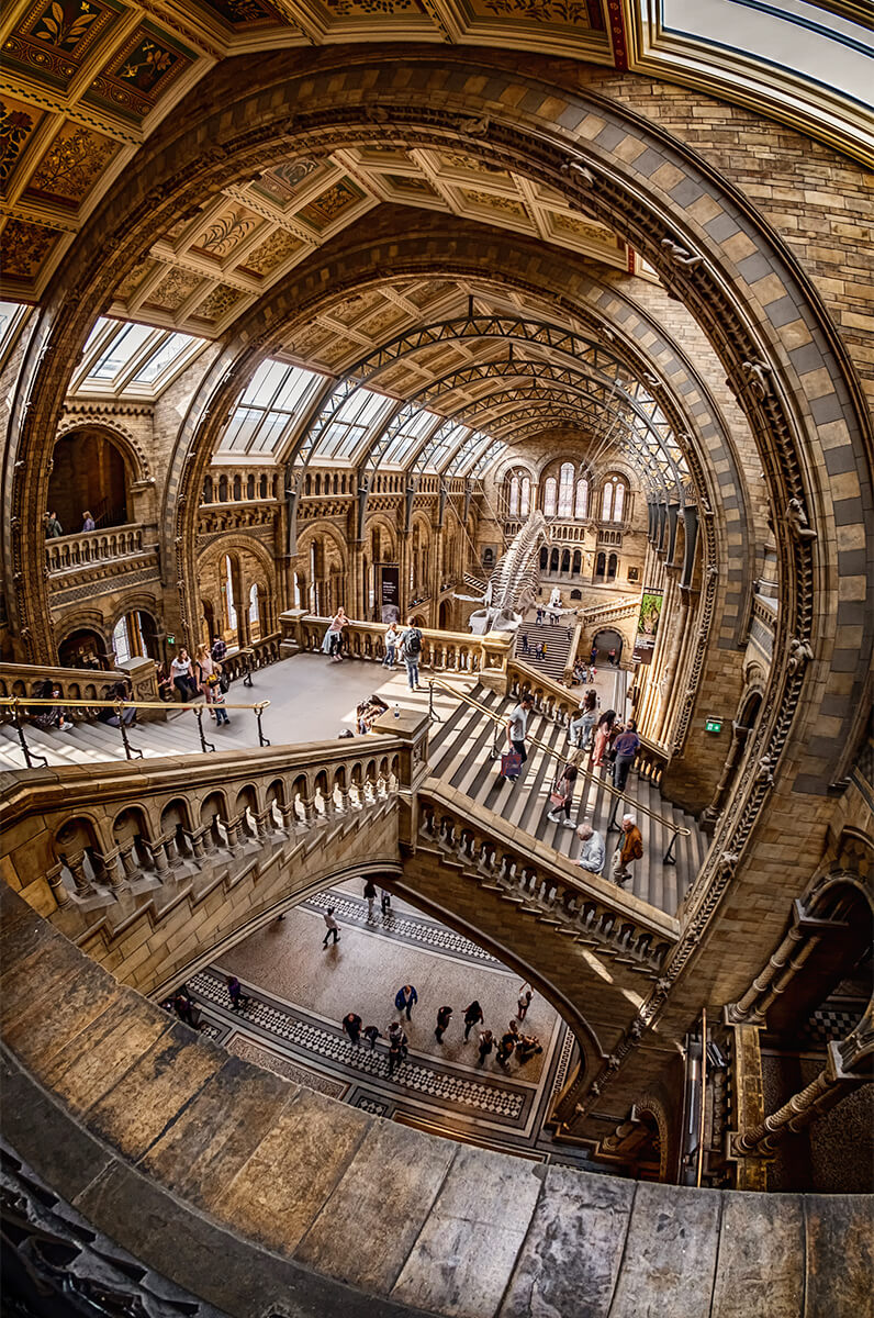 41 NATURAL HISTORY MUSEUM by Ian Bateman WAN – Leighton Buzzard ...